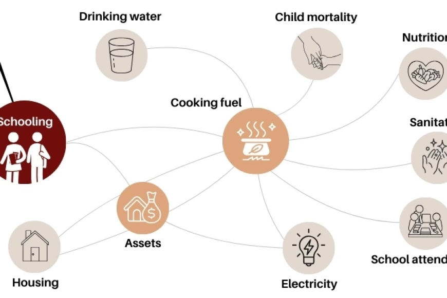 Network Structure of Multidimensional Poverty - Political Analysis ...
